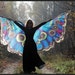 Unique, Hand Painted Silk Wings Made to Order. the Wings Like a ...
