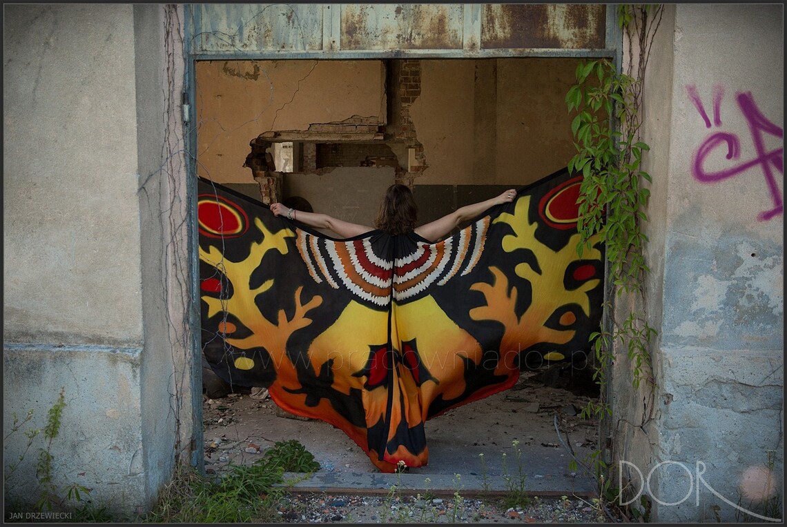 Hand Painted Silk Mothra Wings: Custom Belly Dance Isis Wings - Etsy