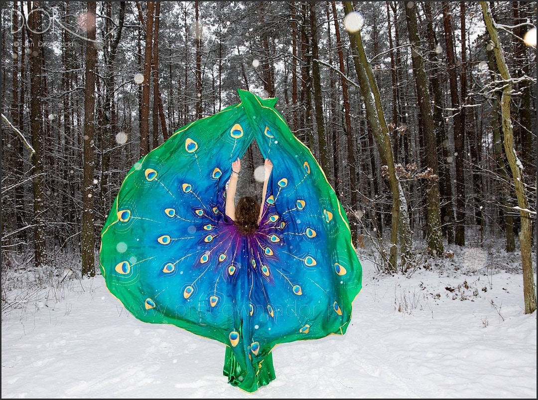 Whole Wheel Dance Wings Made of Hand Painted Silk. Two Semicircle Veils ...