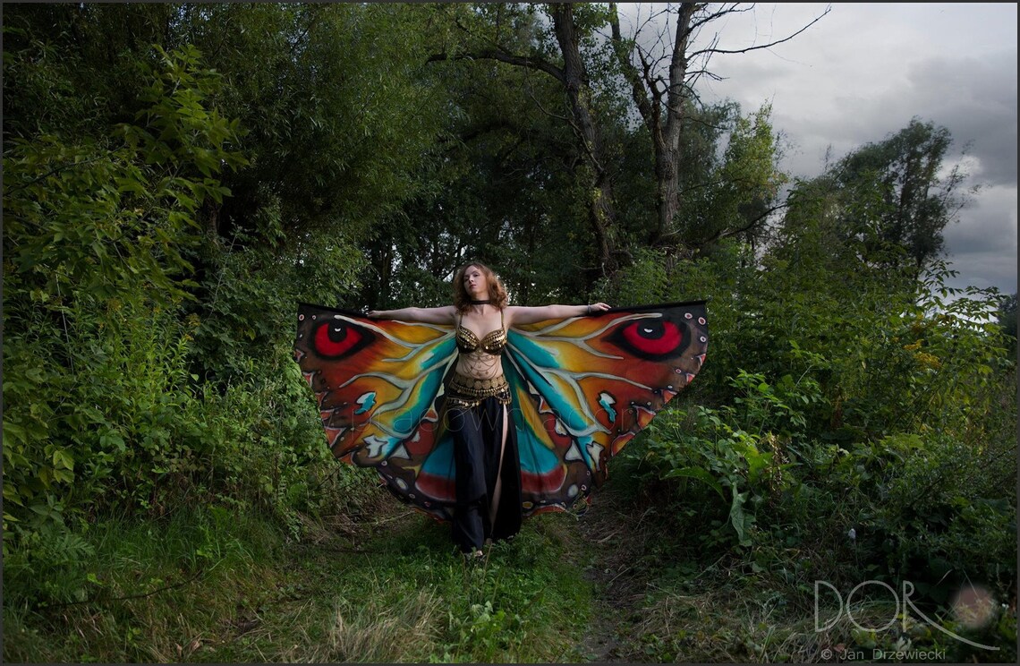 Mothra Wings - Pattern of Godzilla 2019. Belly Dance Unique Wings Made ...