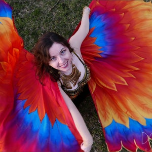 Phoenix Bird Wings. Hand Painted Silk Dance Wings. Costume for Stage ...
