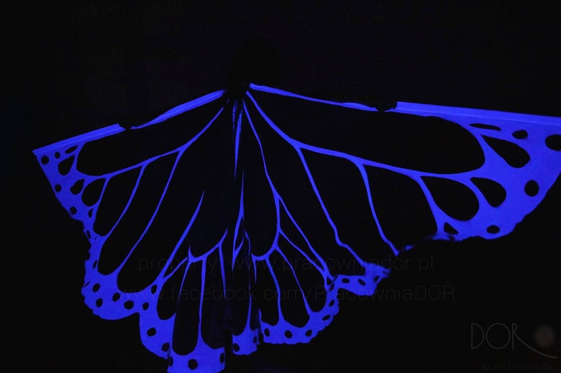 Hand-painted Silk Wings Glowing in UV Light. Belly Dance Wings - Etsy