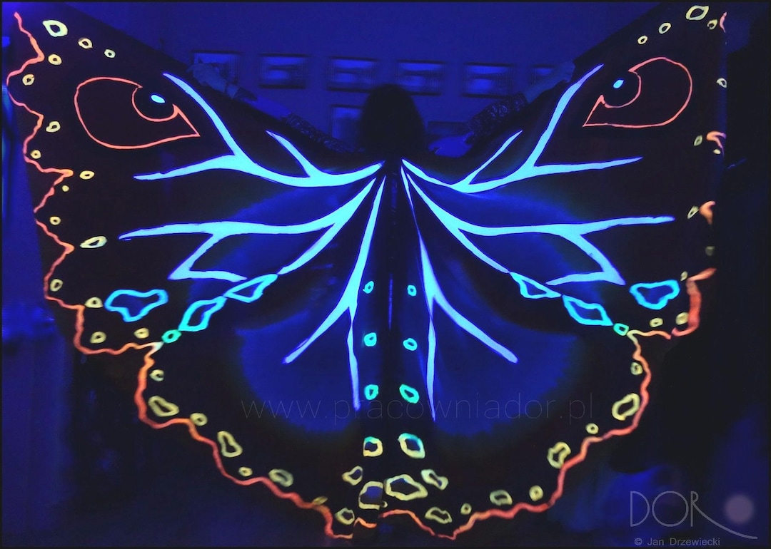 Hand-painted Silk Mothra Wings: UV Glowing Dance Costume - Etsy