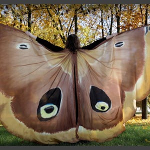 Moth Wings. Hand Painted Silk Wings Made to Order - Etsy