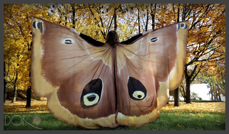 Moth Wings. Hand Painted Silk Wings Made to Order - Etsy