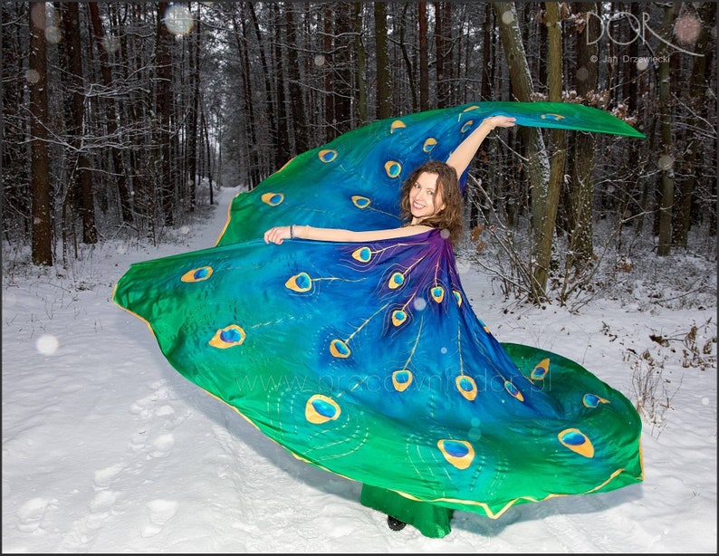 Whole wheel dance wings made of hand painted silk. Two | Etsy