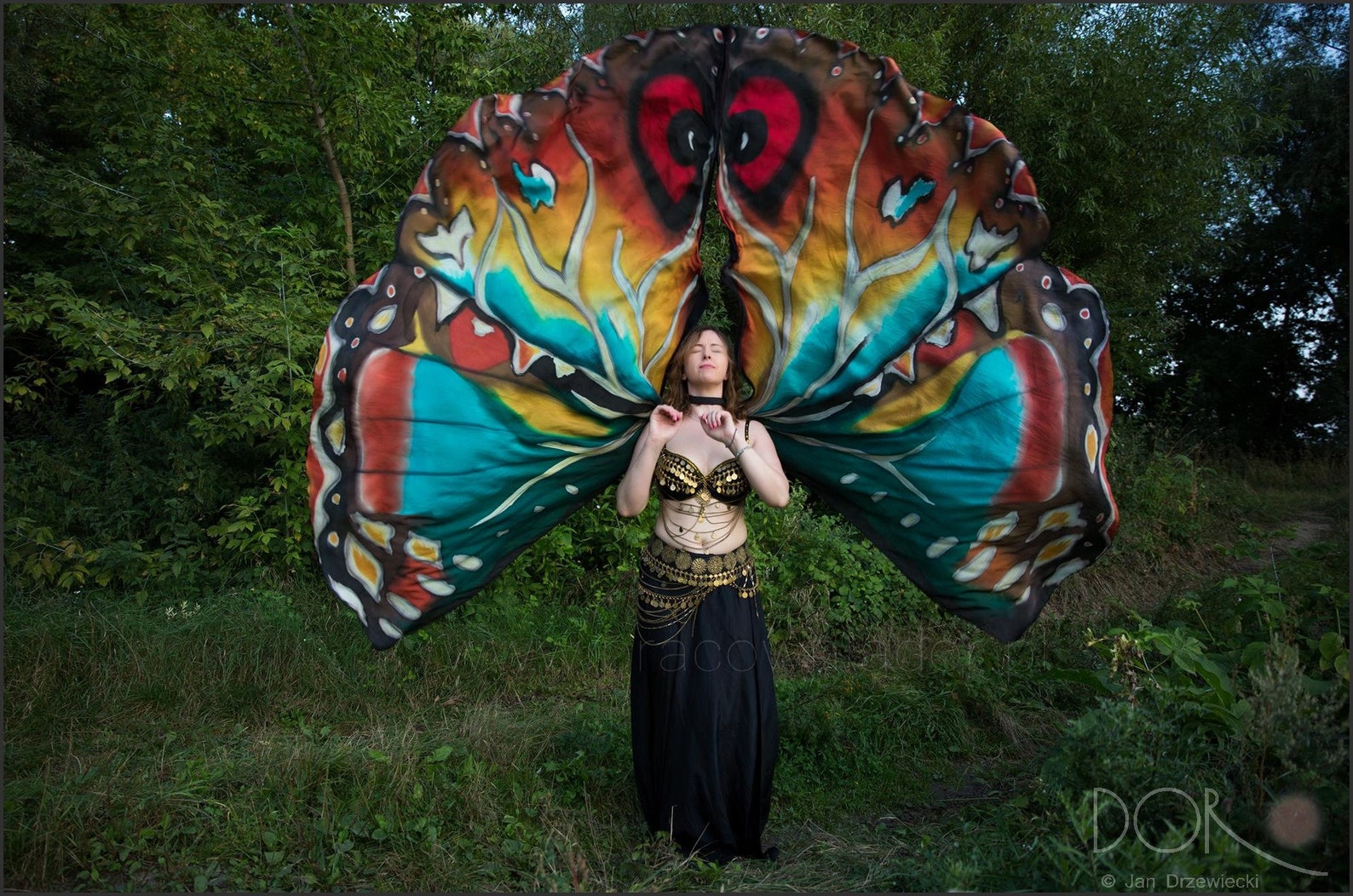 Mothra Wings - Pattern of Godzilla 2019. Belly Dance Unique Wings Made ...