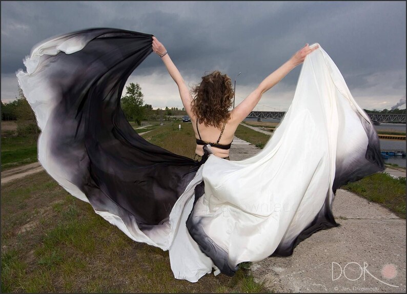 Whole wheel dance wings made of hand painted silk. Two | Etsy