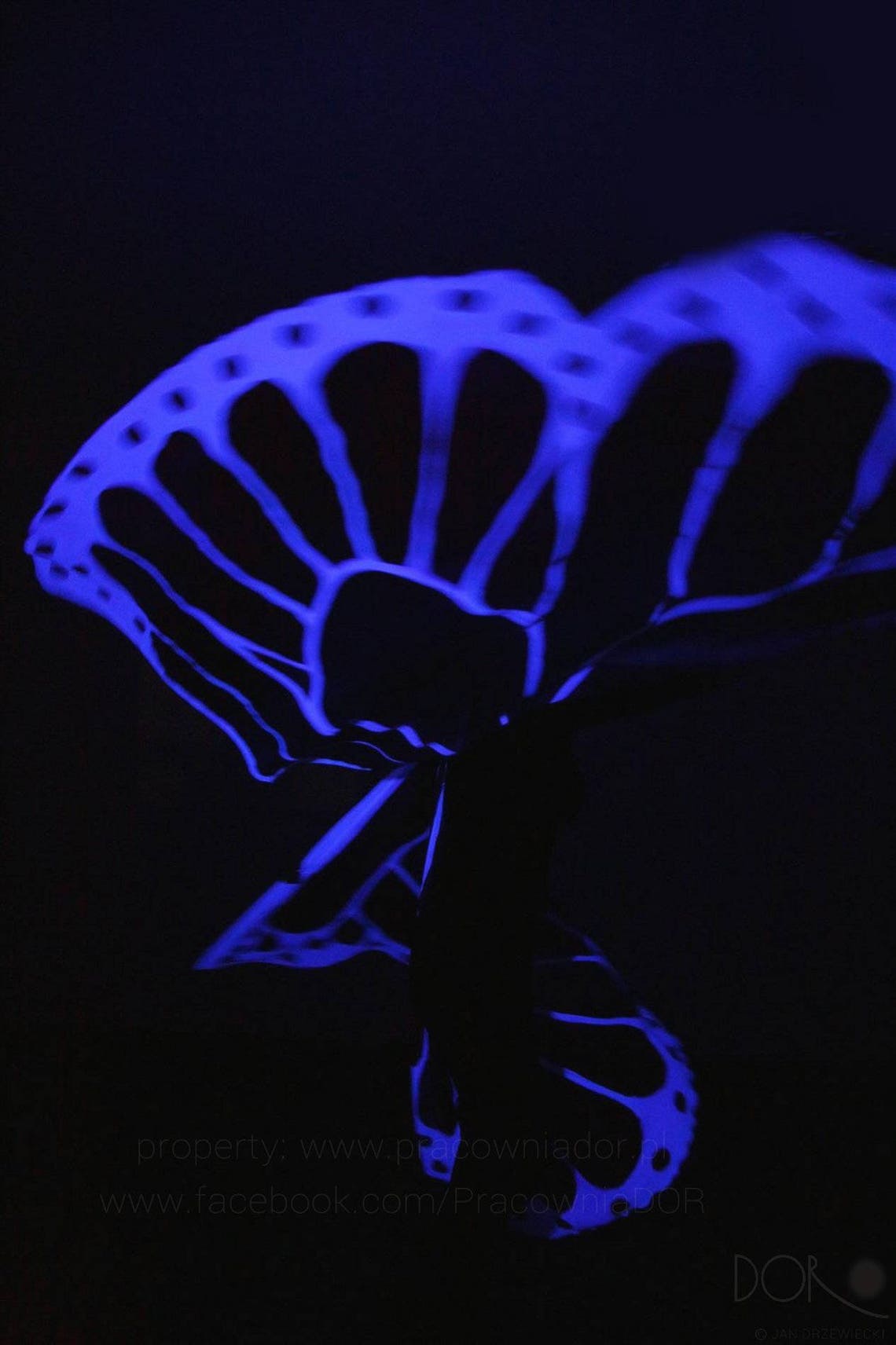 Hand-painted Silk Wings Glowing in UV Light. Belly Dance Wings - Etsy