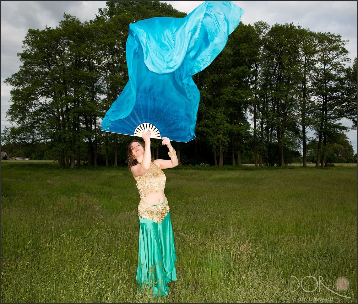 Large fan veil in ombre colors. Hand painted silk dance | Etsy