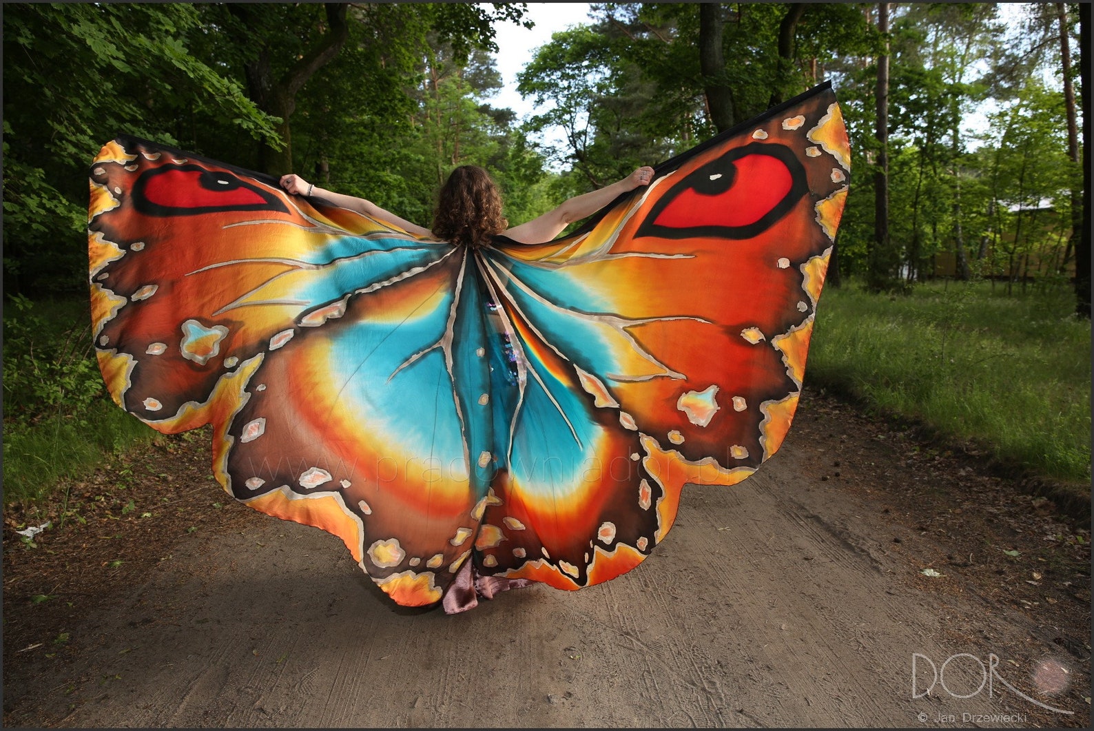 Mothra Wings - Pattern of Godzilla 2019. Belly Dance Unique Wings Made ...