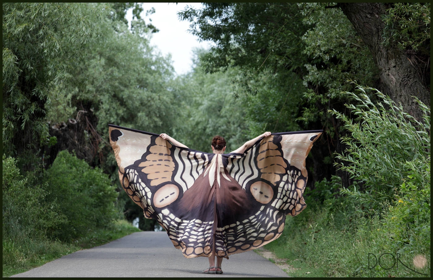 Moth wings. Hand painted silk wings made to order | Etsy