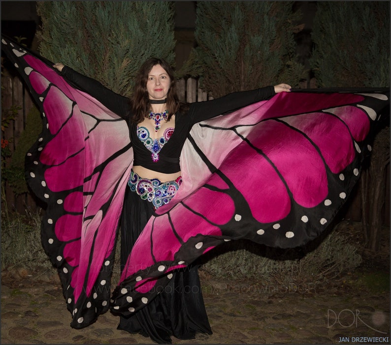 Unique Hand Painted Silk Isis Wings Made to Order - Etsy