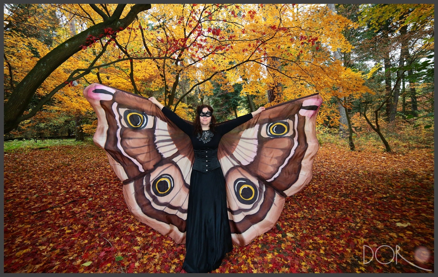Moth Wings. Hand Painted Silk Wings Made to Order - Etsy UK