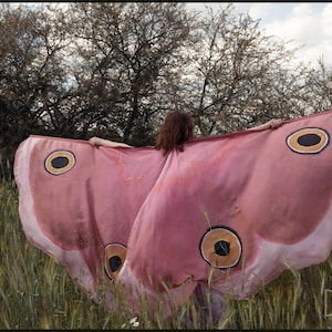 Moth Wings. Hand Painted Silk Wings Made to Order - Etsy