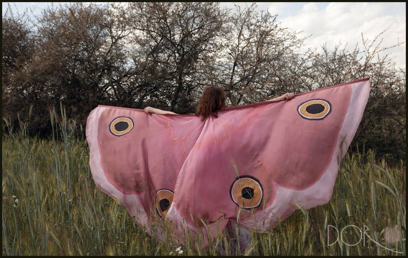 Moth Wings. Hand Painted Silk Wings Made to Order - Etsy Australia
