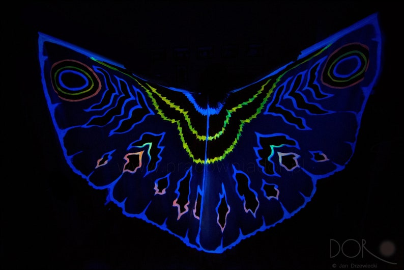 Ultraviolet Butterfly. Hand-painted Silk Wings Glowing in UV - Etsy