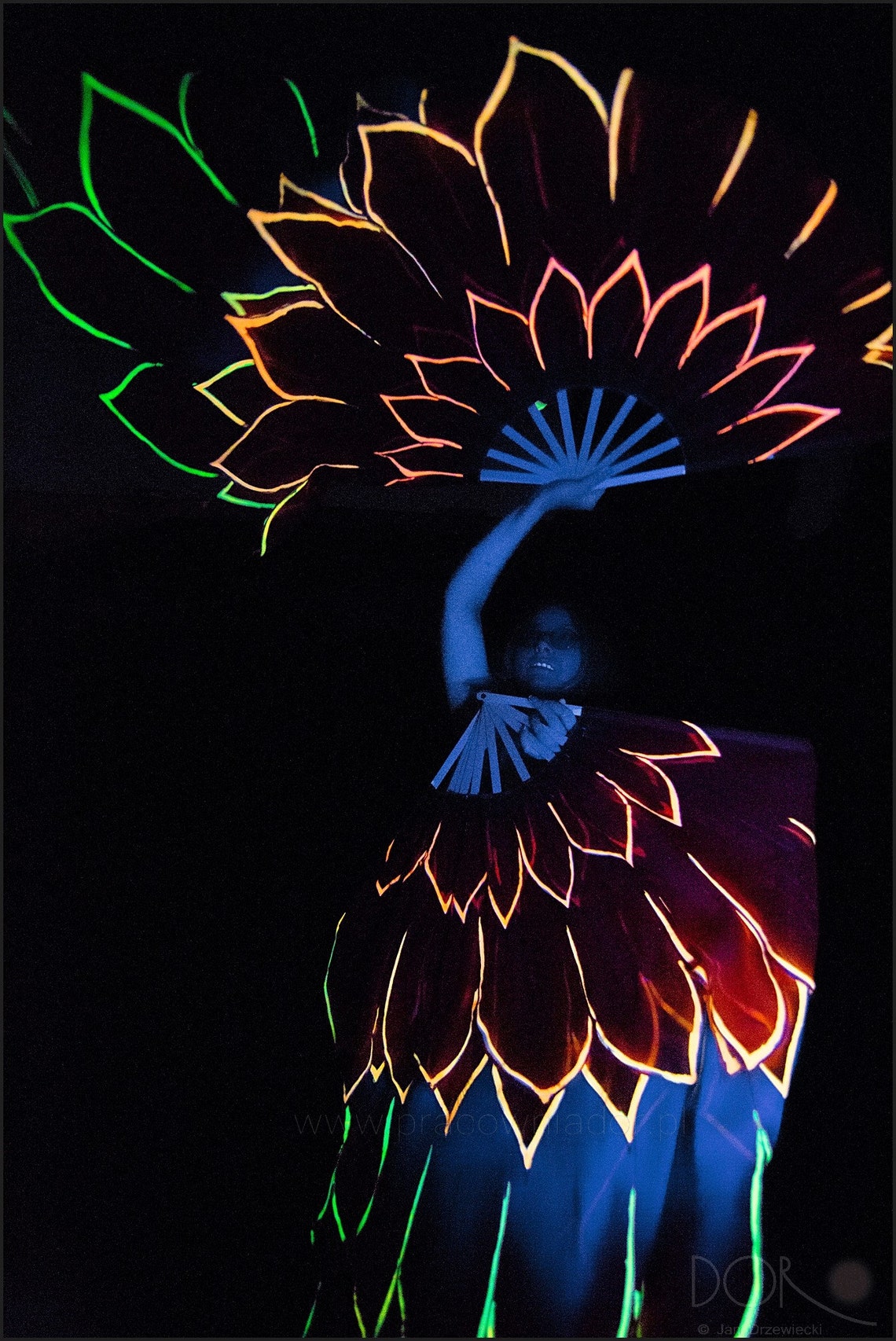 Hand Painted Fire Bird Fan Veils in Xl Size, With Ultraviolet Paint. - Etsy
