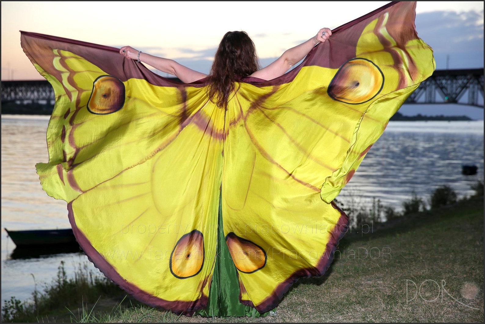 Moth Wings. Hand Painted Silk Wings Made to Order - Etsy