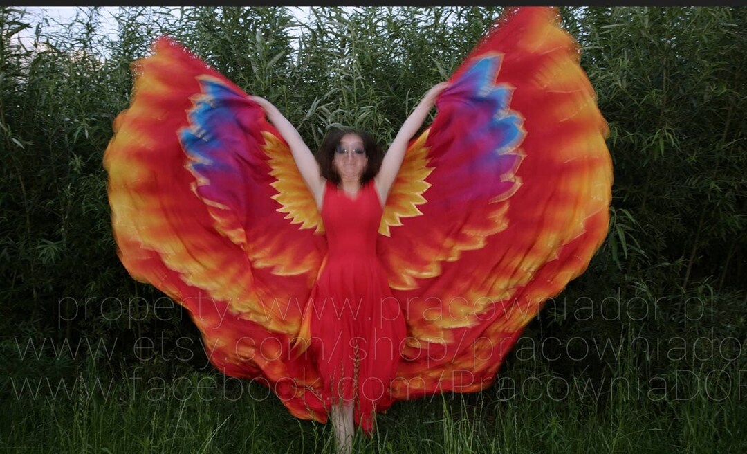 Hand Painted Silk Phoenix Wings: Fire Dance Costume - Etsy