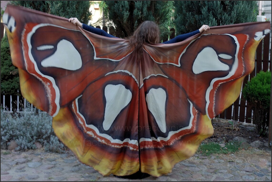 Moth Wings. Hand Painted Silk Wings Made to Order | Etsy