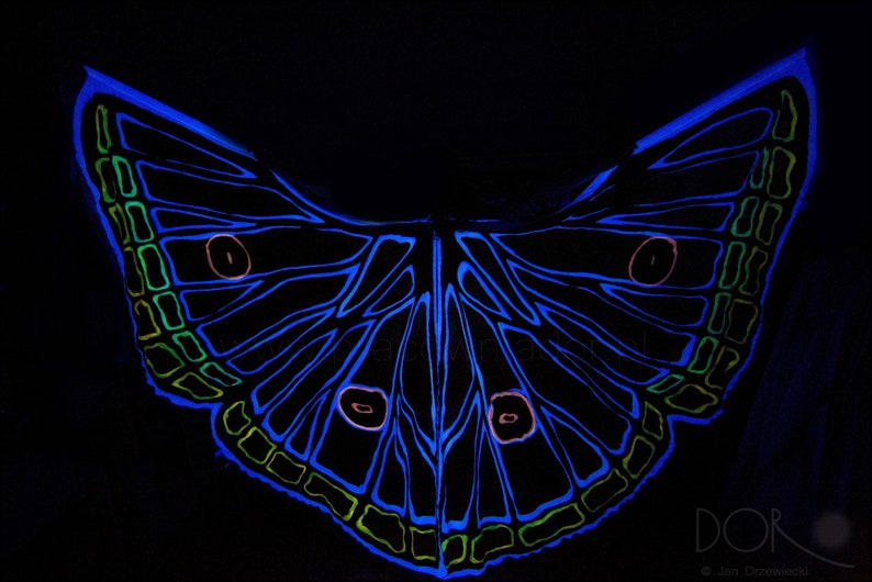 Ultraviolet Butterfly. Hand-painted Silk Wings Glowing in UV | Etsy