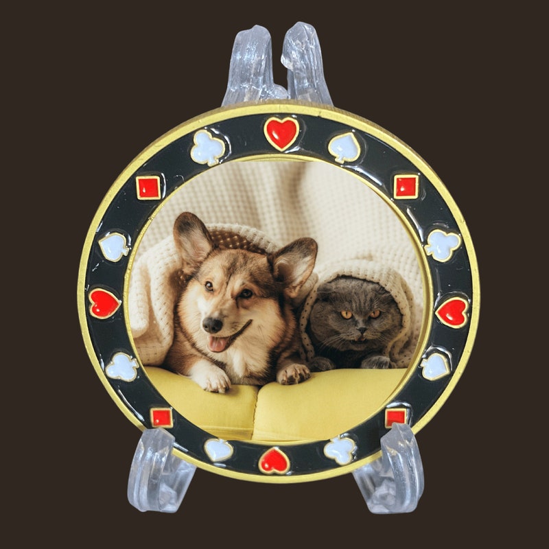 Card Guard a Dog - Etsy