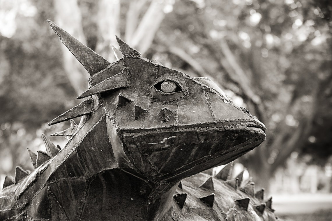 TCU Horned Frog Statue - Etsy