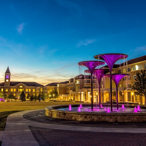 Frog Fountain Texas Christian University - Etsy