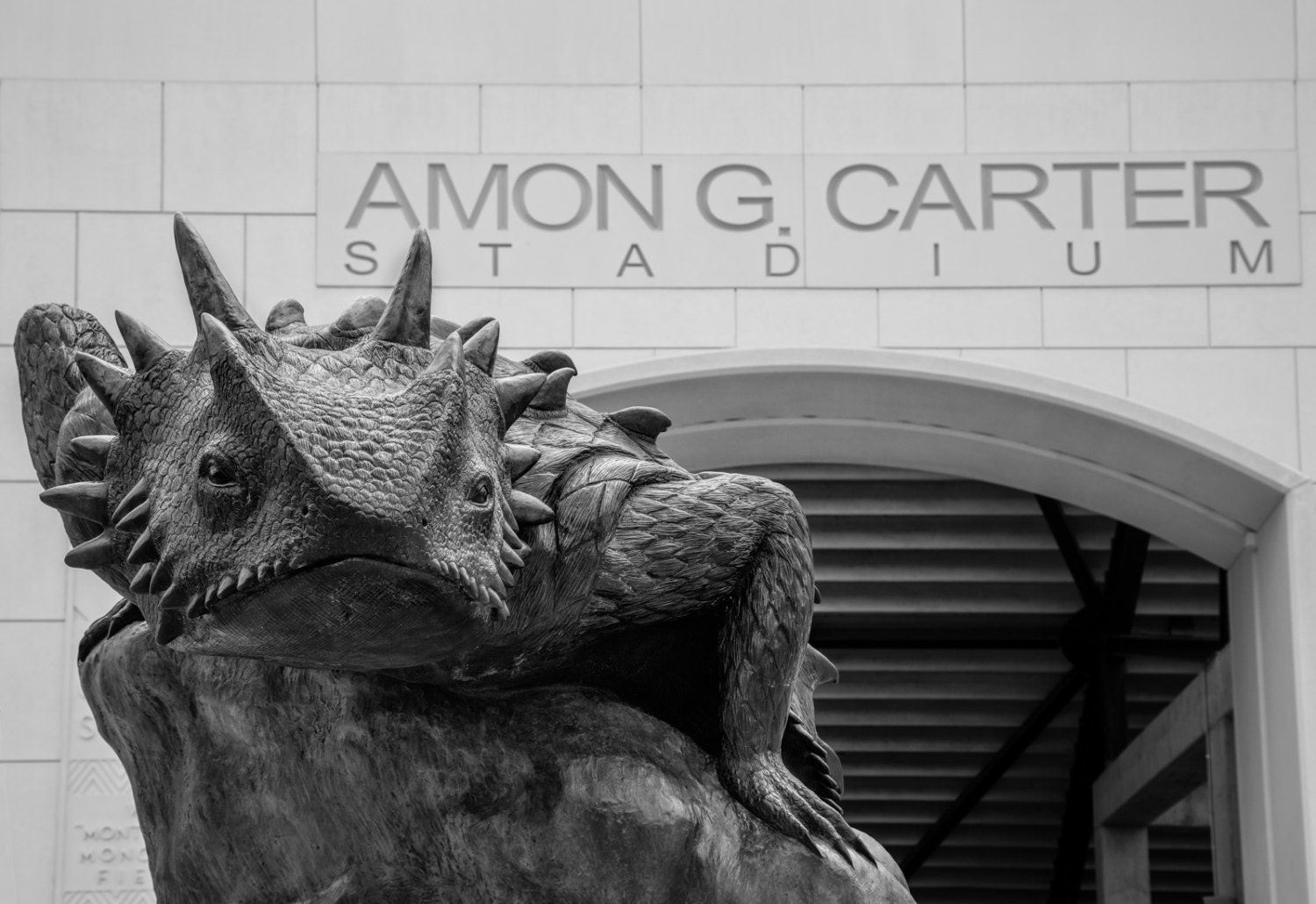 Amon G. Carter Stadium - Etsy