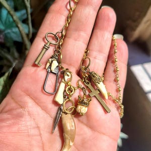 Real Animal Bone Necklace / Coyote Fang Necklace / Fox Tooth, Alligator ...