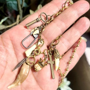 Real Animal Bone Necklace / Coyote Fang Necklace / Fox Tooth, Alligator ...