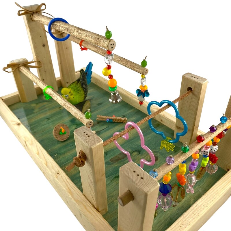 Bird Play Gym - Etsy