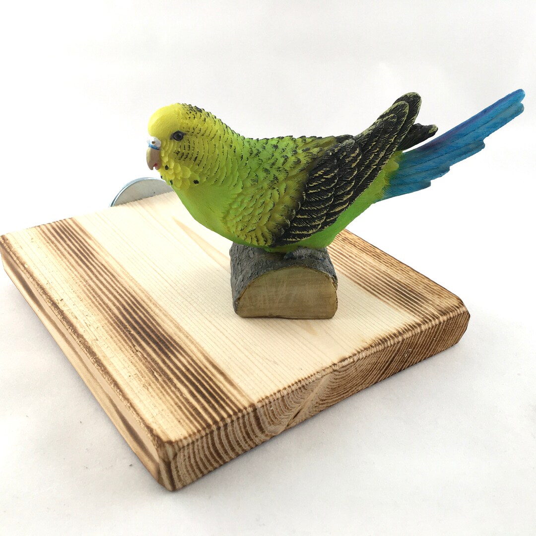 6 X 5 1/2 In. LEDGE BIRD PERCH - Etsy