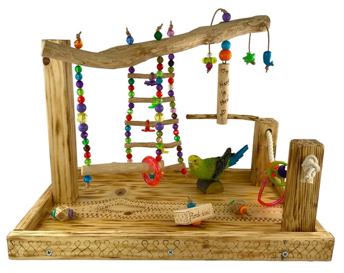 BIRD TOY: Play GYM With Ladder and Swing - Etsy