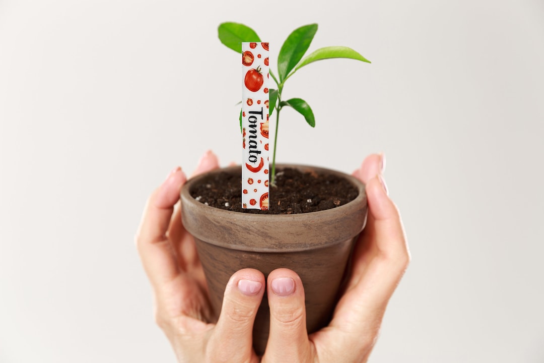 Plant Marker/planting Markers/vegetable Markers/gardening Gift ...