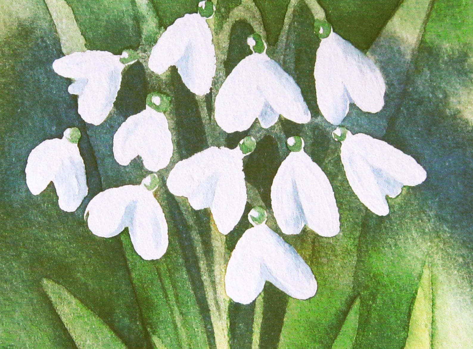 Original Watercolour Painting Snowdrops - Etsy