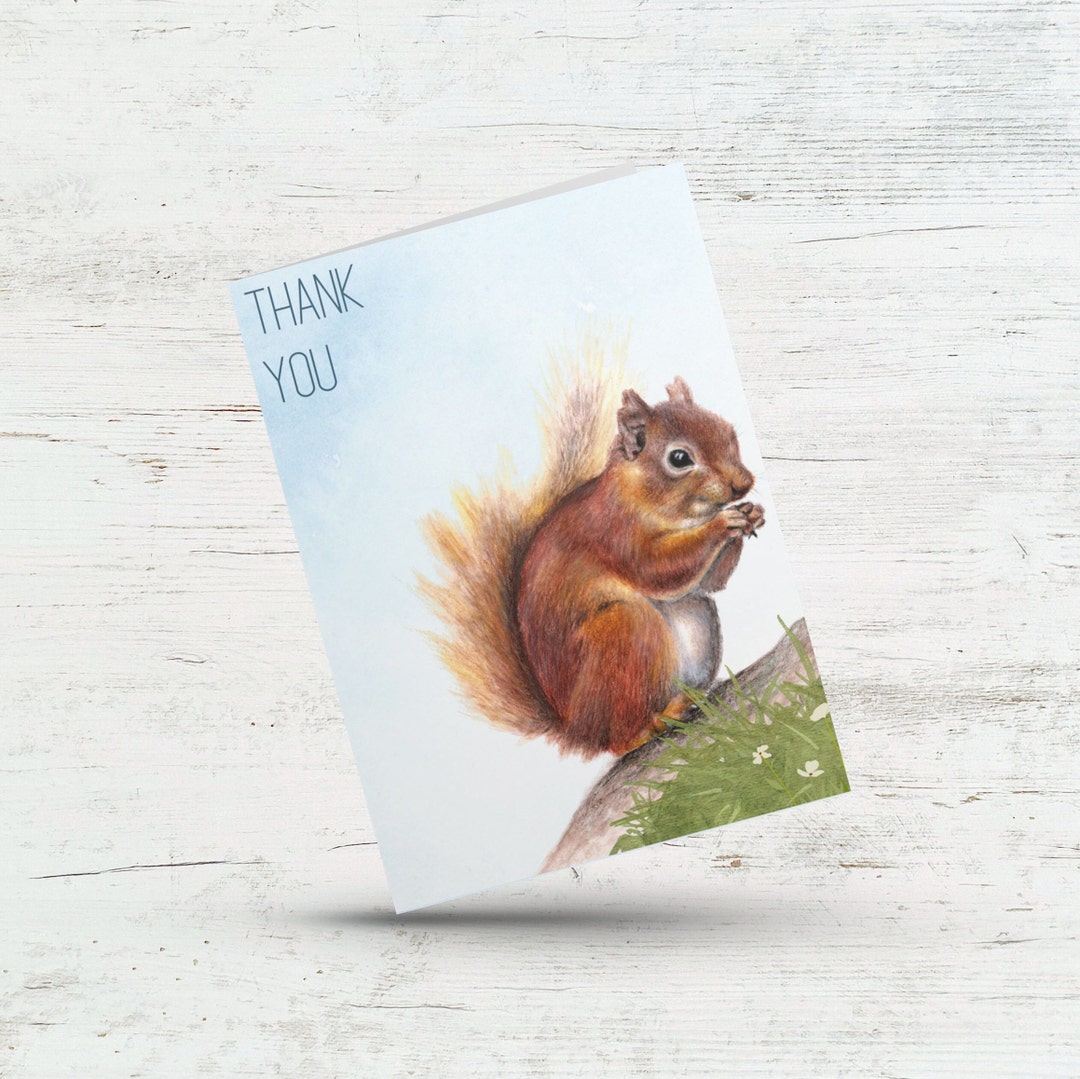 Thank You Card, Cute Squirrel Any Occasion Thank You Card, Woodland ...