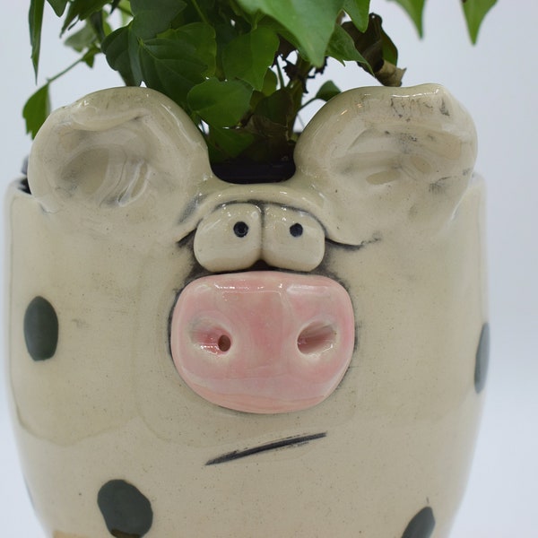 Pig Planter - Etsy