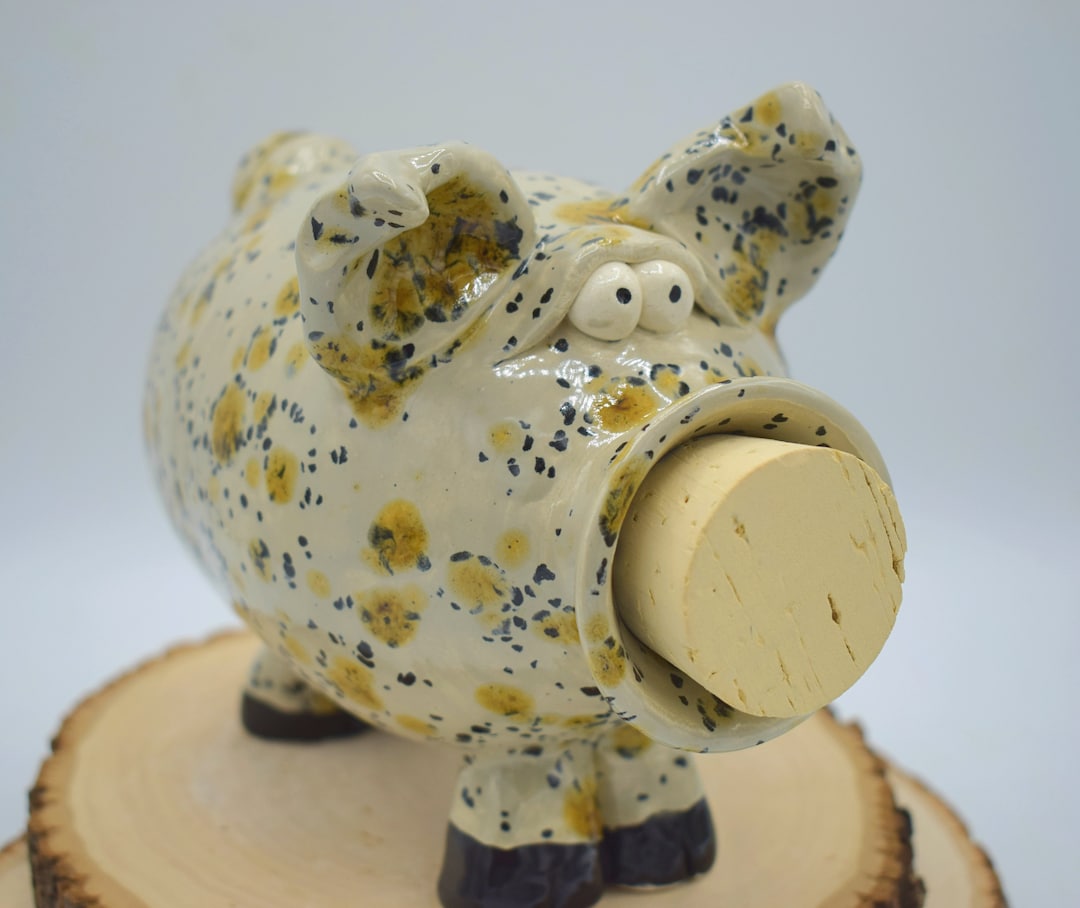 Handmade Pottery Piggy Bank in Stock and Ready to Ship - Etsy
