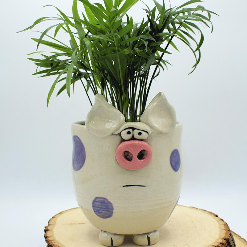 Pig Planter - Etsy