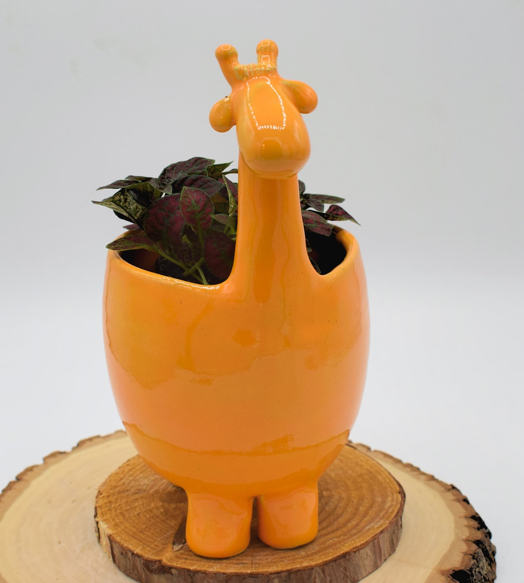 Handmade Pottery Giraffe Planter -- in Stock and Ready to Ship - Etsy