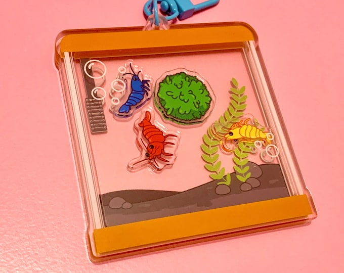 Shrimp Shaker Keychain - Etsy