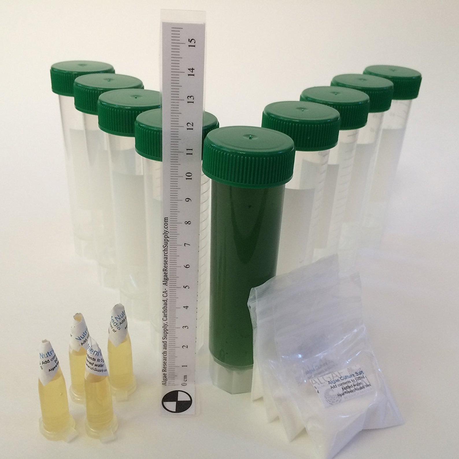 Algae Research Kit Culture and Supplies - Etsy