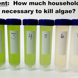Algae Research Kit Culture and Supplies - Etsy