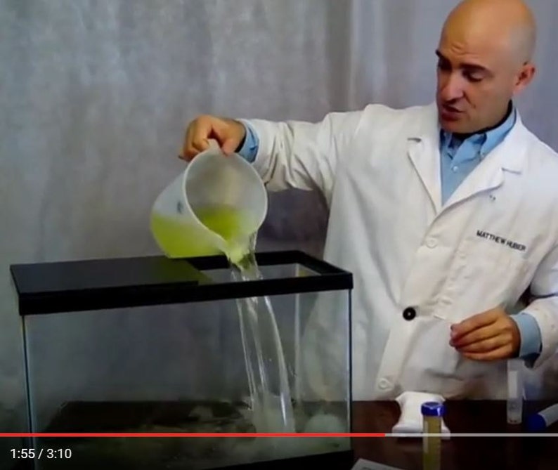 Algae Research Supply: Spirulina Farming Kit - Etsy