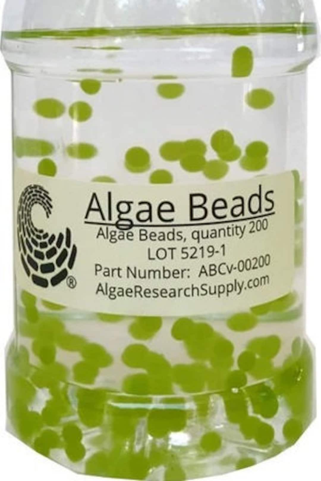 Algae Beads Only 200 - Etsy
