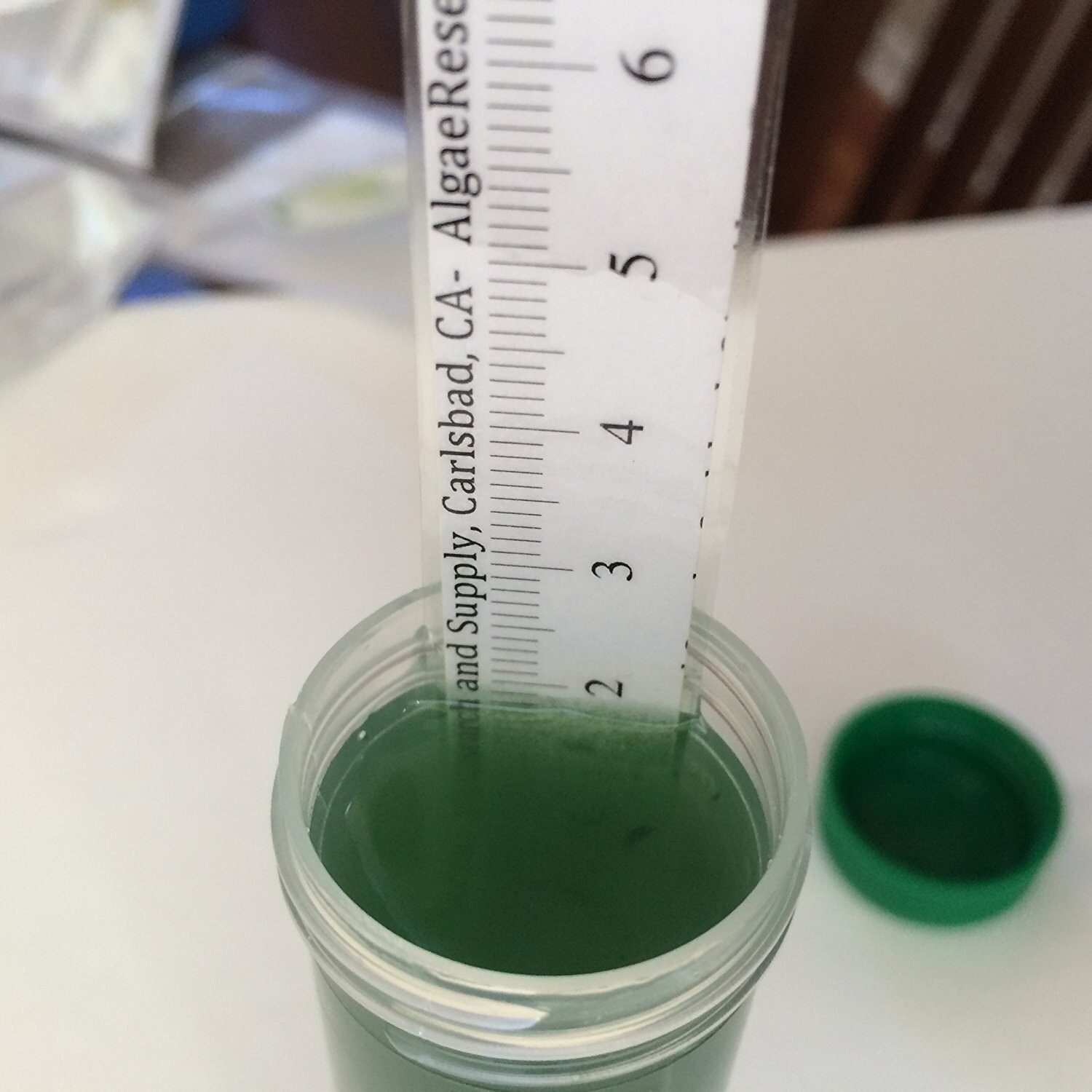 Algae Research Kit Culture and Supplies - Etsy