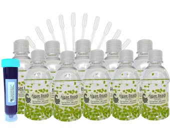 Algae Research Supply: Spirulina Farming Kit - Etsy
