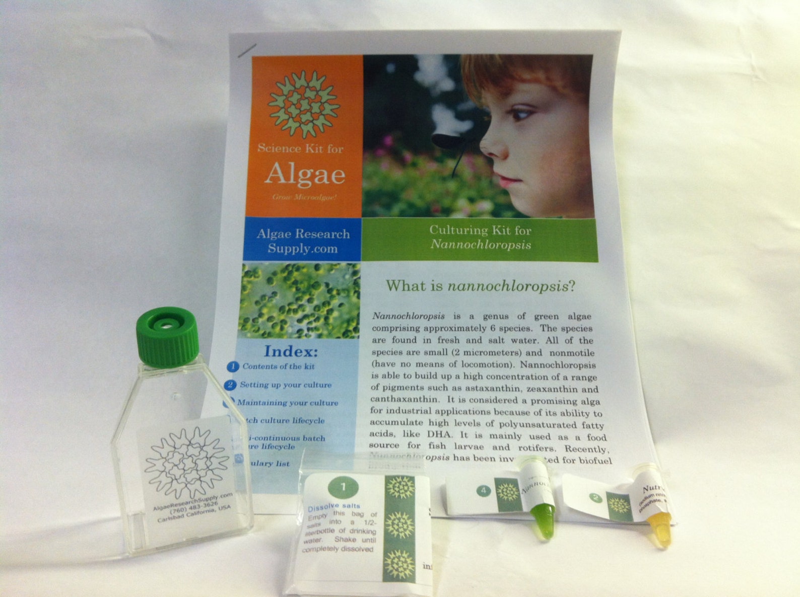 Algae Growing Kit. - Etsy